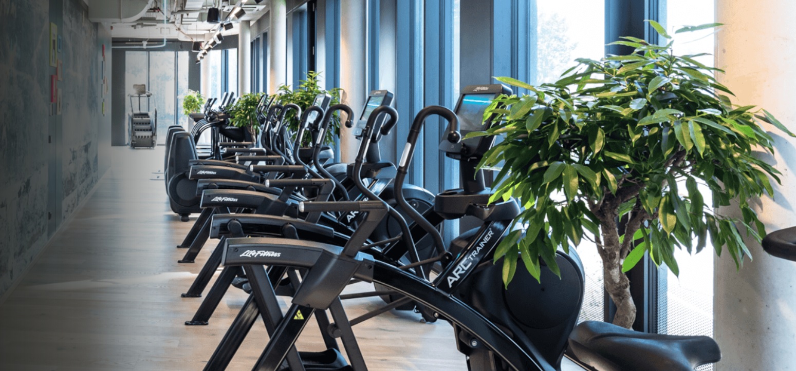 Kardio stroje Life Fitness a Hammer Strength